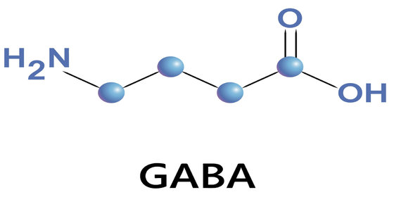 GABA - gamma-aminobutyric acid