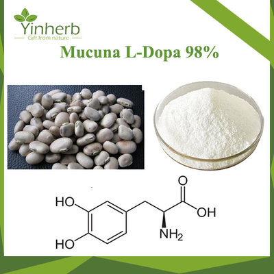 Mucuna L-Dopa 98%