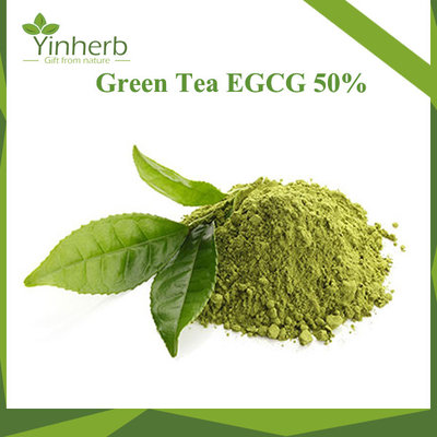 EGCG 50% Green Tea Extract