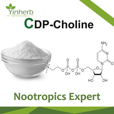 CDP Choline