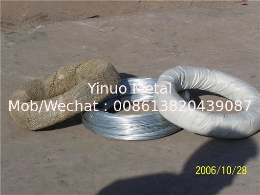 China Supplier Higy Quality Electro Galvanized Iron Wire Q195 Material BWG18
