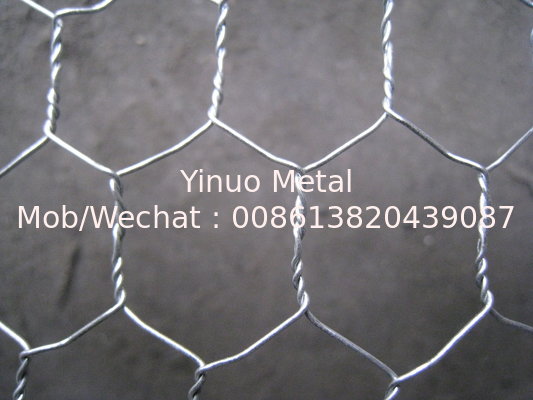 Galvanized Chicken Mesh / Hexagonal Wire Mesh Export to South Africa