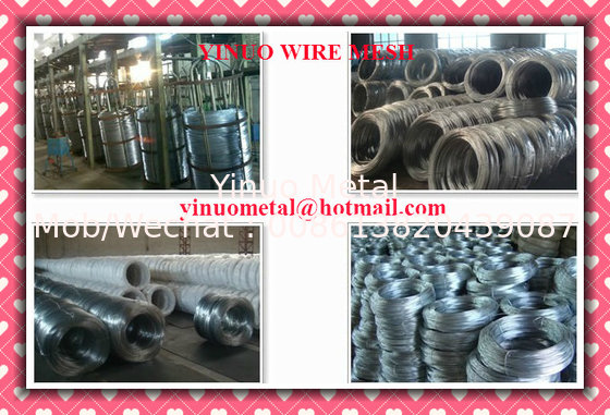 Export Packing Electro Galvanized Binding Wire Iron Wire
