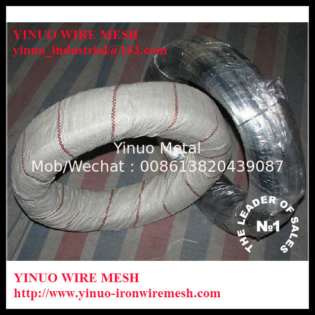 Galvanized Wire (Electro or Hot Dipped Galvanized) with High Quality and Competitive Price