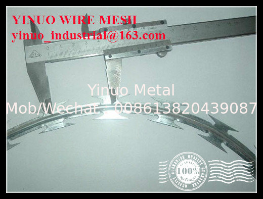 Outdoor CBT - 65 Razor Barbed Wire Fence Hot Dipped Galvanized Mesh Fence