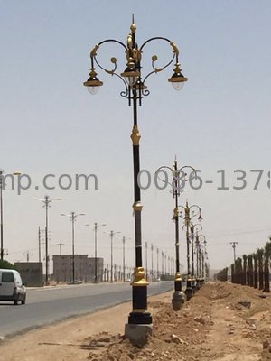 7M-10M Eureapean style steel landscape modern led street light with aluminum base supplier