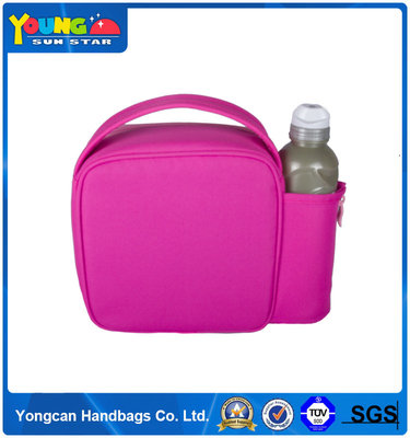 Factory directly supply Dongguan YoungSunStar Pink dinosaur insulated lunch coolor bag for school girls 26 23 10
