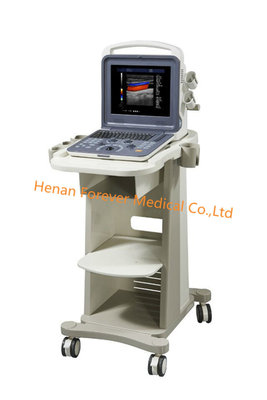 Diagnostic System Full Digital Color Doppler Ultrasound Scanner (YJ-U60)