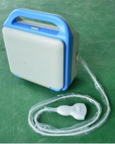 Gynaecology Full Digital B Model Portable Gynecology Ultrasound