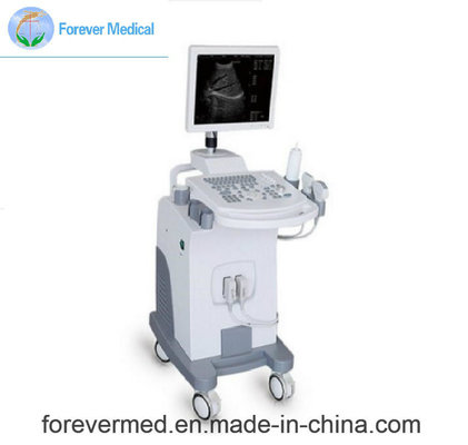 SVGA Non-Interlaced High Resolution Ultrasound System