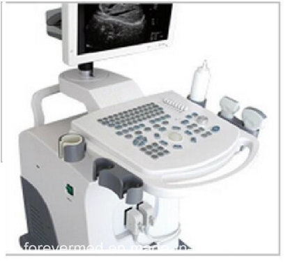 SVGA Non-Interlaced High Resolution Ultrasound System
