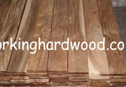 Natural Rustic small leaf acacia hardwood flooring