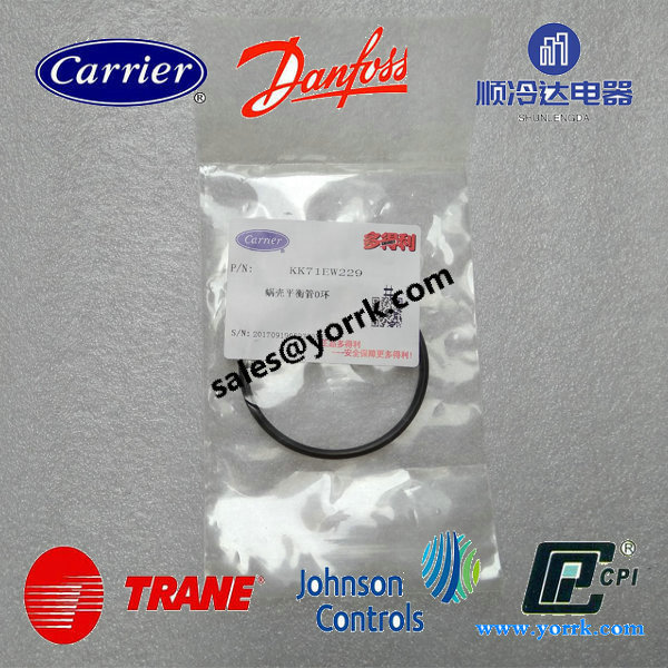 KK71EW229 Carrier O Ring Equalizer supplier