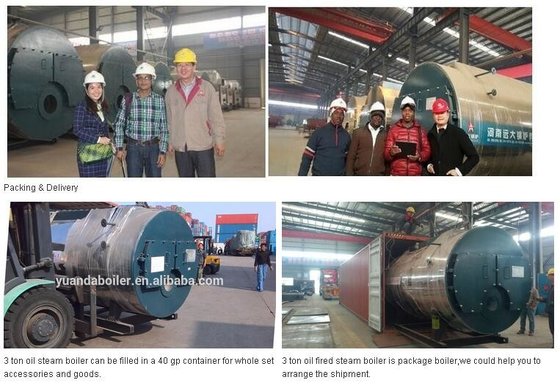 Fire tube 10 ton 10ton gas steam boiler