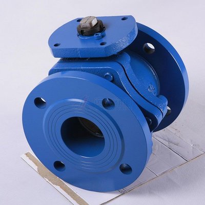 DIN Cast Iron check valve Q41F-16 China Famous Valves DIN Check Valve DIN Gate Valve