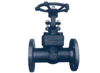 Z41Y H-25/40/64/100/160 Grade Forging Steel Gate Valve