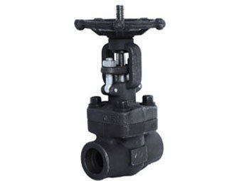 Forged Steel Gate Valve Class 150-800 Forge Steel Gate Valve