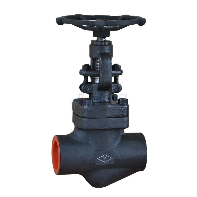 API602 Forged steel Globe valve 800# Flange End Forged Steel Globe Valve China Famous Globe Valve
