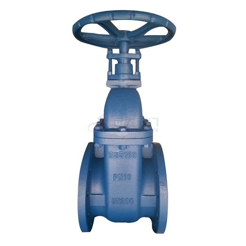 BS5163 Cast Iron Non-rising Stem Gate Valve gate valve manufacture China Cast Iron Gate Valve