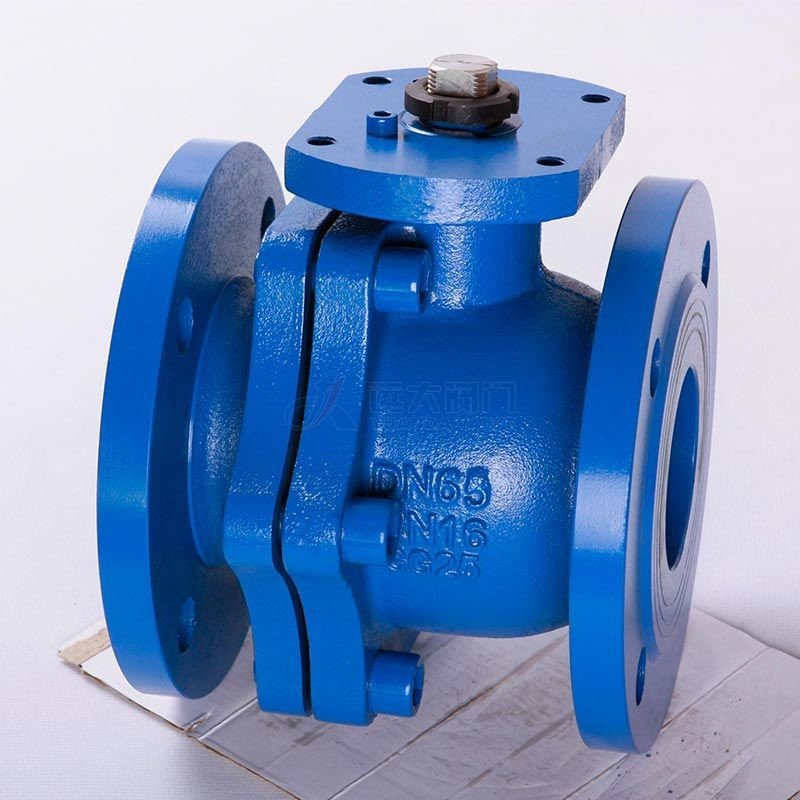 DIN Cast Iron check valve Q41F-16 China Famous Valves DIN Check Valve DIN Gate Valve