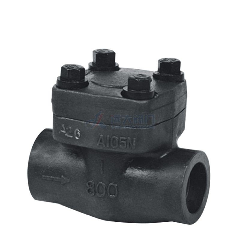 API602 Forged steel Check valve 800# China API Check Valve China Cast Check valve Supplier