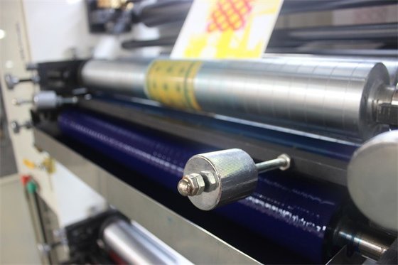 RY-6 Color Flexo Printing machine
