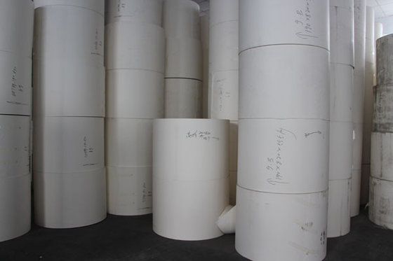 PE coat paper