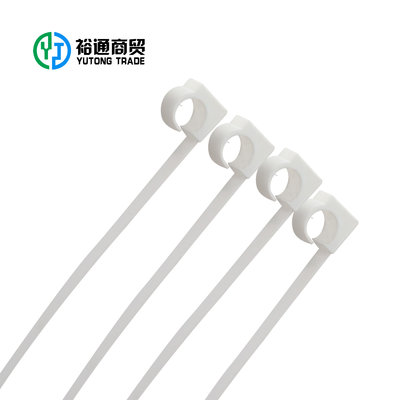 Good quality one piece plastic seal container YT-PS 405