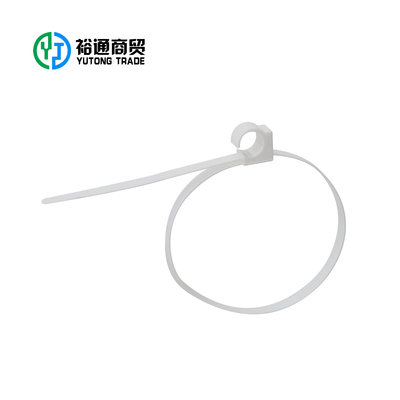 Good quality one piece plastic seal container YT-PS 405