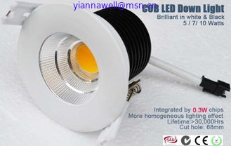 China C-TICK, SAA certification COB led down lighting hot sale in Australia supplier