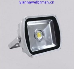 China 60W led outdoor lights IP65 supplier supplier