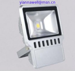 China 100W high power Led lighting and outdoor led lights IP65 supplier supplier