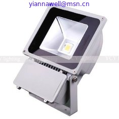 China 70W outdoor led lights IP65 supplier supplier