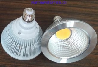 China Led COB Spot &amp; par Led lights supplier