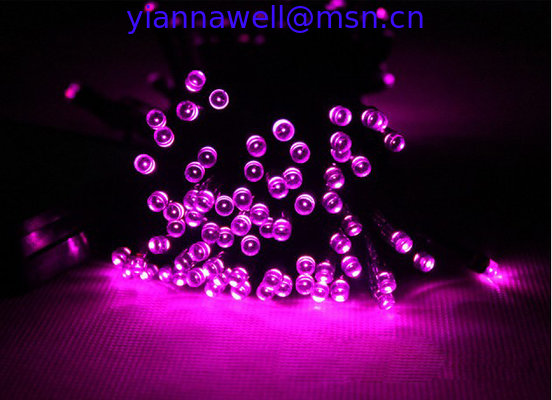 Colorful LED String light Holiday led lighting supplier