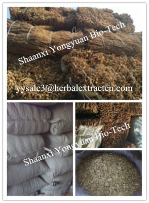 100% natural Cycloastragenol 98%,CAS No.:84605-18-5,Cosmetic supplement use,Astragalus root extract,Chinese manufacturer
