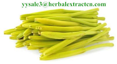 High quality Hemerocall Extract 10:1  Chinese manufacturer, natural Antioxidant, Anti-Cancer property, Competitive price