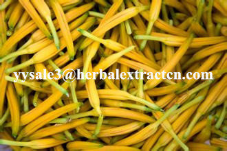 High quality Hemerocall Extract 10:1  Chinese manufacturer, natural Antioxidant, Anti-Cancer property, Competitive price