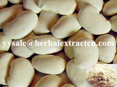White Kidney Bean Extract, Extrato de Feijão Branco，3000 Unit/g, 1%Phaseolamin，manufacturer