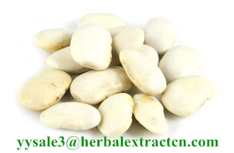 White Kidney Bean Extract, Extrato de Feijão Branco，3000 Unit/g, 1%Phaseolamin，manufacturer