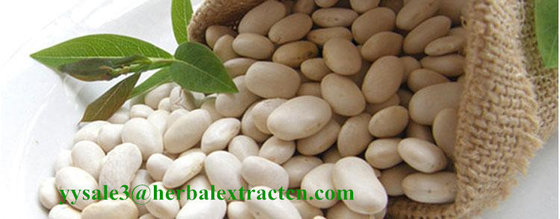 White Kidney Bean Extract, Extrato de Feijão Branco，3000 Unit/g, 1%Phaseolamin，manufacturer