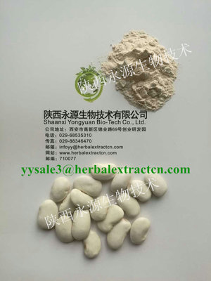 White Kidney Bean Extract, Extrato de Feijão Branco，3000 Unit/g, 1%Phaseolamin，manufacturer