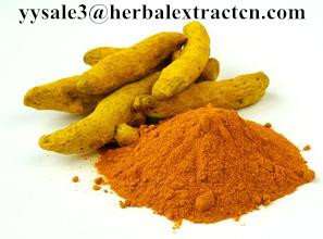 HOT SELLING Turmeric extract,curcumin 95%,CAS .:458-37-7,Lipid-lowering,Anti-inflammatory,  Chinese MANUFACTURER