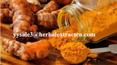 HOT SELLING Turmeric extract,curcumin 95%,CAS .:458-37-7,Lipid-lowering,Anti-inflammatory,  Chinese MANUFACTURER