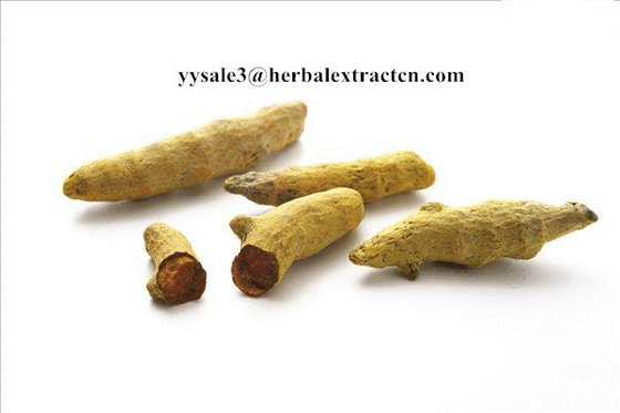 HOT SELLING Turmeric extract,curcumin 95%,CAS .:458-37-7,Lipid-lowering,Anti-inflammatory,  Chinese MANUFACTURER