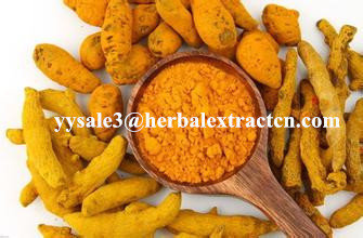 HOT SELLING Turmeric extract,curcumin 95%,CAS .:458-37-7,Lipid-lowering,Anti-inflammatory,  Chinese MANUFACTURER