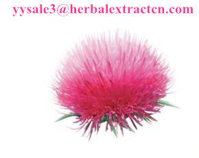 Milk Thistle Extract, Silymarin80% ,DAB10 EP6.0 USP3.2, liver protect ingredient, Schisandra Extract,Astragalus extract