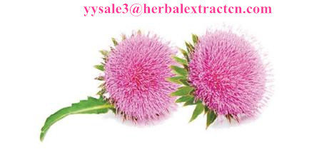 Milk Thistle Extract, Silymarin80% ,DAB10 EP6.0 USP3.2, liver protect ingredient, Schisandra Extract,Astragalus extract