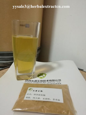 Water soluble Green tea P.E Total Tea Polyphenols 40% 50%, natural antioxidant and weight lose, Yongyuan Bio-Tech