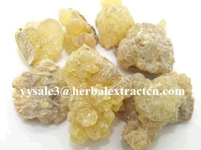 Boswellic Acid, CAS#: 471-66-9, Boswellia serrata Extract, Chinese manufacture, Anti-inflammatory, Boswellia Resin